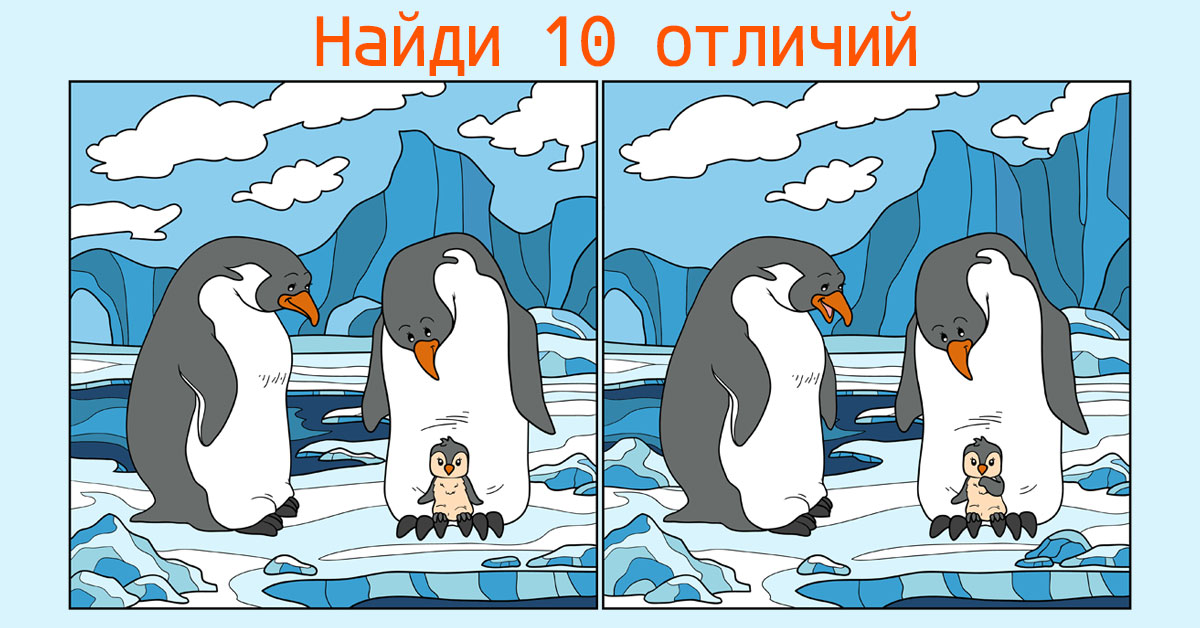 Найти отличия с пингвинами: результаты тебя удивят