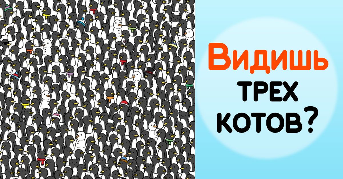Сложная головоломка «три кота»